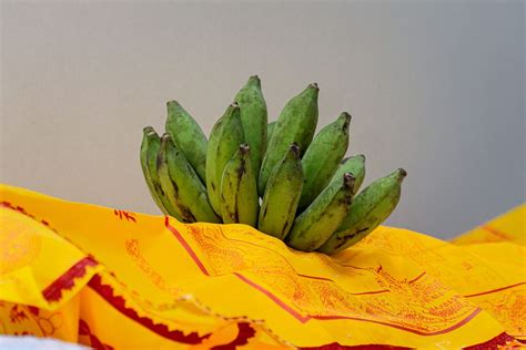 K Chuy N V N H A Tang Ma Vi T Nam T G C Nh N C A Ng I L M Ngh S Ig Neer