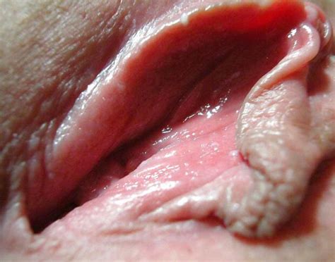 Amazing Pussy Pic Robinshot