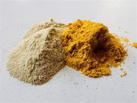 Brevel Opens Microalgae Protein Factory For Plant Based Dairy