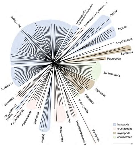 7 neighbor net graph based on logdet correction reconstructed in