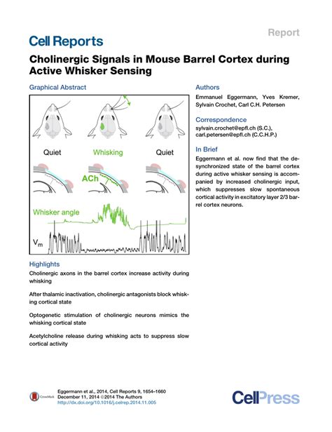 Download Pdf Cholinergic Signals In Mouse Barrel Cortex During Active