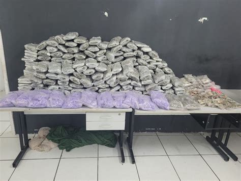 Polícia apreende 150 quilos de drogas em casa e prende proprietária em