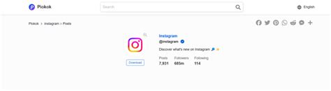 Picnob Best Instagram Viewer Tool Alternatives 2025