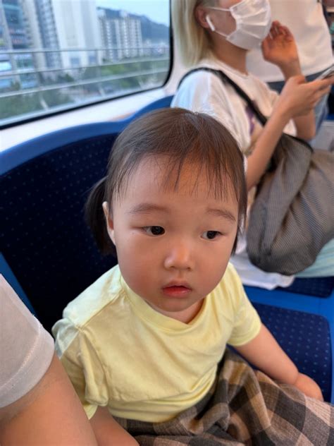 아이랑 의정부 경전철타기 뚜벅이하원길 경전철 첫 탑승일기 네이버 블로그