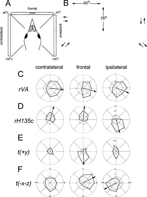 Af Response Of Medial Column Neurons To Moving Largefield Sine Wave