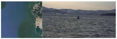 Jmse Free Full Text A Lightweight Detection Algorithm For Unmanned Surface Vehicles Based On