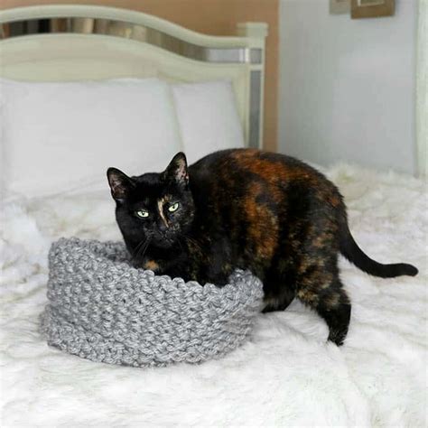 Cat Bed Knitting Pattern Free