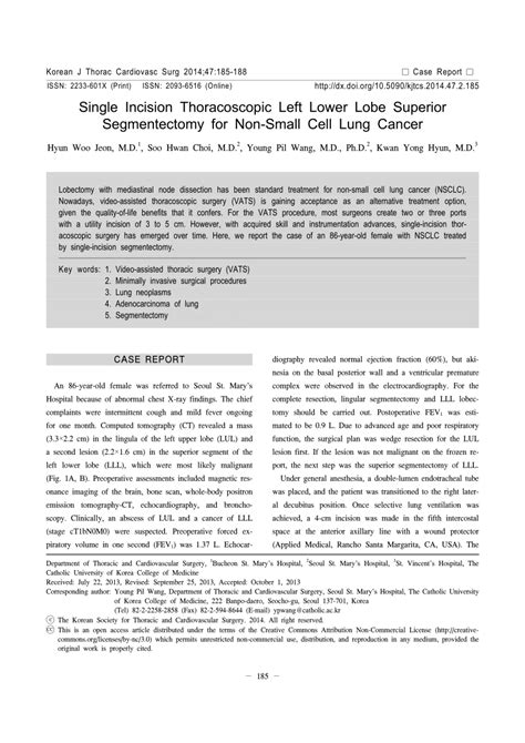 Pdf Single Incision Thoracoscopic Left Lower Lobe Superior