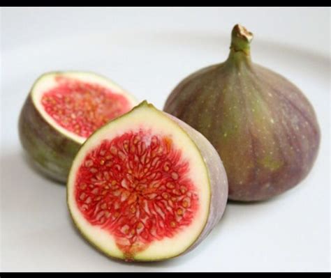Gorgeous Fig Design Инжир Экзотический фрукт Фига