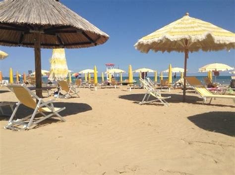 Lido Il Delfino San Salvo Marina Aggiornato 2021 Tutto Quello Che