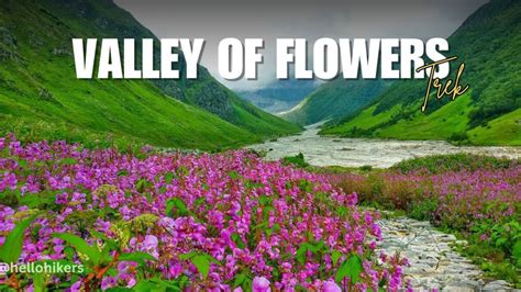 What Is The Best Time To Visit The Valley Of Flowers Hello Hikers
