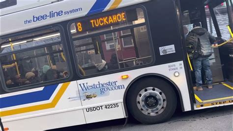 Bee Line Bus 2009 Nabi 40 Lfw Route 8 To Tuckahoe 264 Yonkers Wallnut