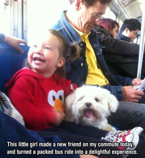 Dogs Are A Great Source Of Unconditional Love 37 Pics