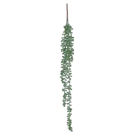 Pearl Succulent String Weskus Ditjies And Datjies