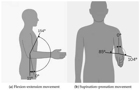 A Comprehensive Review Of Elbow Exoskeletons Classification By