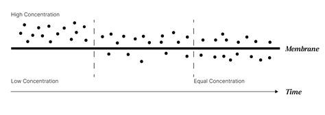 Diffusion