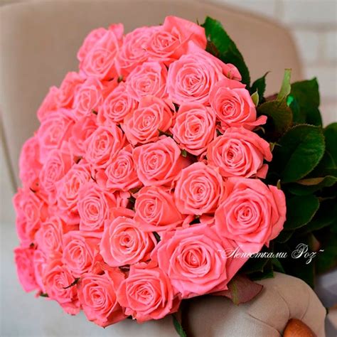 ♥ڪے ♥ЛЕПЕСТКАМИ РОЗ♥ ڪے♥ ВКонтакте