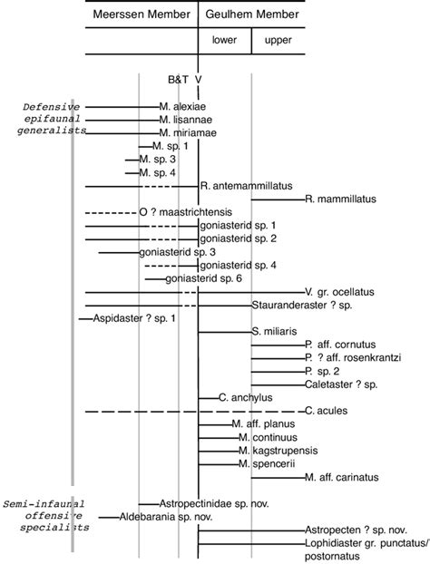E Asteroid Distribution Across The K T Boundary In The Type Area Of