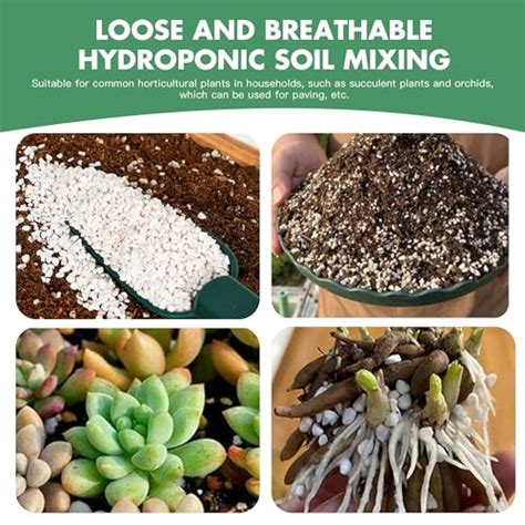 Organic Perlite For Plant Growth Enhancement House Plants Expert