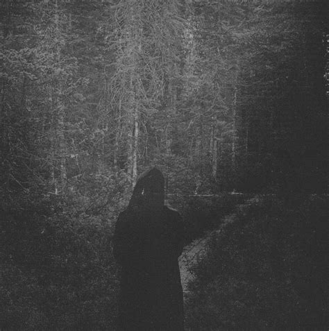 Boreal Specter Boreal Specter