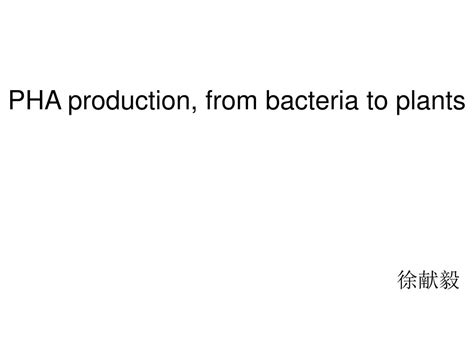 Ppt Pha Production From Bacteria To Plants Powerpoint Presentation