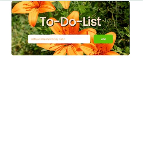 GitHub Meltem Fs To Do List