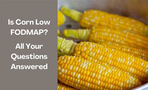Is Corn Low Fodmap All Your Questions Answered Vital Care Nutrition