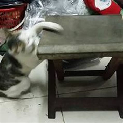 Stream Undertale Gasters Theme Extended By Ai By Gia Hiep Listen