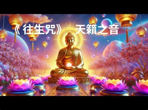 佛咒心韻新生旋律 往生咒佛光普照事事順利吉祥如意幸福平安即能消滅五逆十惡謗法等重罪阿彌陀佛常在其頂以護行人 臨終往生