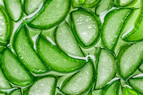Aloe Vera Come Usarla Come Sfruttare I Suoi Benefici