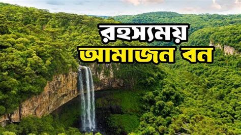 আমাজন জঙ্গলের রহস্য। Secrets Of The Amazon Jungle। Amazonjungle Youtube