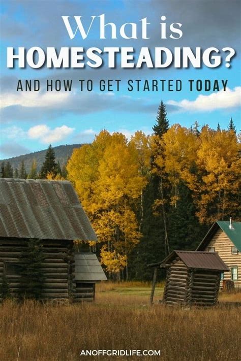What Is Homesteading What To Know To Get Started An Off Grid Life