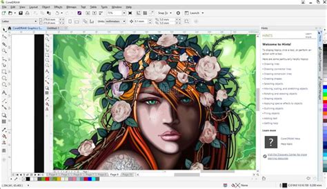 How To Download Install And Activate Coreldraw Graphics Suite 2022 V24