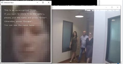 Interactive Face Recognition Demo Windows Openvino