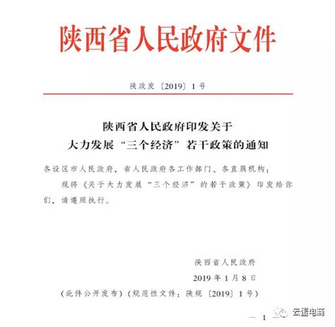 陕西省人民政府印发关于大力发展“三个经济”若干政策的通知 建设