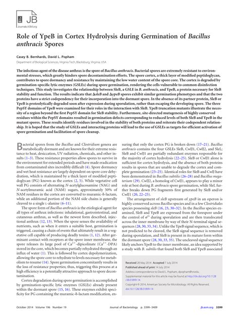 Pdf Role Of Ypeb In Cortex Hydrolysis During Germination Of Bacillus