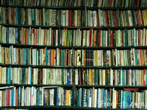 Cell Size Lab Procedure 1 Sit In Your