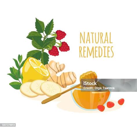 레몬 생강 민트 라즈베리 자연 요법 민속 의학 가정 생활에 대한 스톡 벡터 아트 및 기타 이미지 가정 생활 감기와 독감 개념 Istock