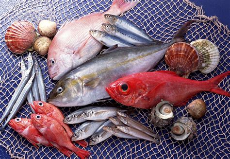 Seafood Wallpapers Wallpaper Cave