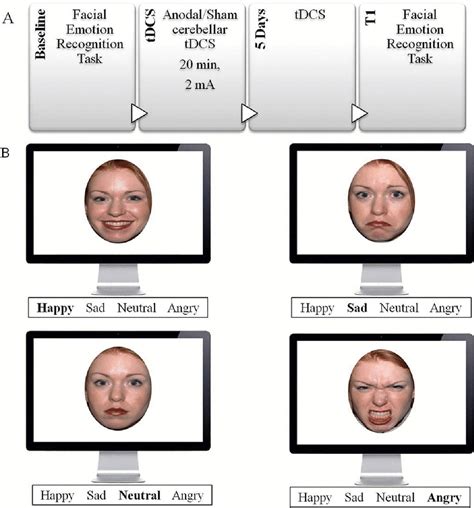 Timeline Of The Experimental Procedure A And Task Stimuli B Srt