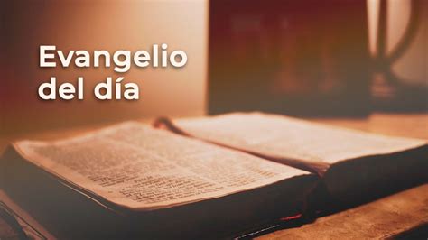 Evangelio del Día Marcos 2 1 12 Soy Nueva Prensa Digital