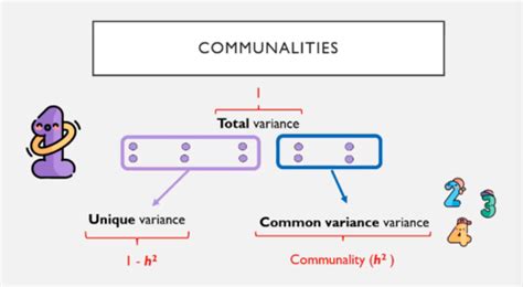 Factor Analysis Week 7 Flashcards Quizlet