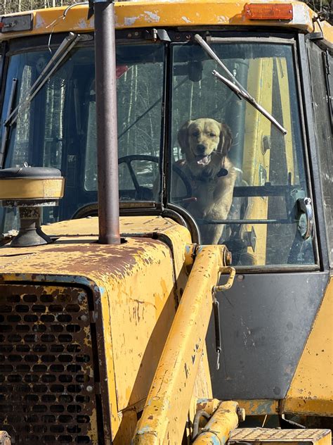 181 Best Backhoe Images On Pholder Heavyequipment Tractors And Osha