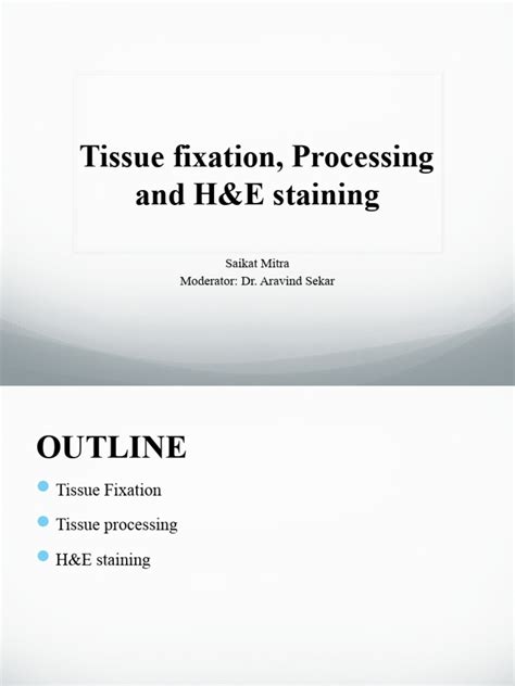 Tissue Fixation Processing Download Free Pdf Fixation Histology