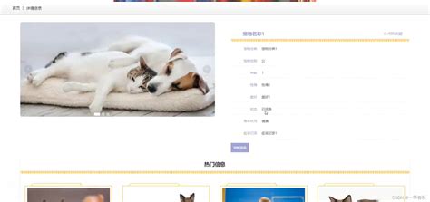 【计算机毕业设计】基于springbootvue的流浪猫狗救助救援网站的设计与实现 Csdn博客