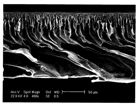 Method For Preparing Sulfonated Polymer Films Eureka Patsnap