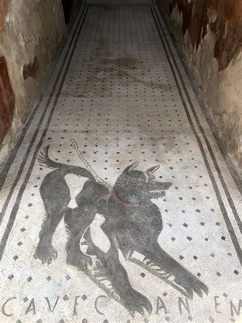Cave Canem Wikipedia