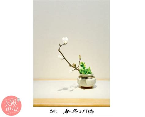 圓照寺門跡大阪精華会 山村御流いけばな展 大阪中心 The Heart of Osaka Japan 大阪市中央区オフィシャル