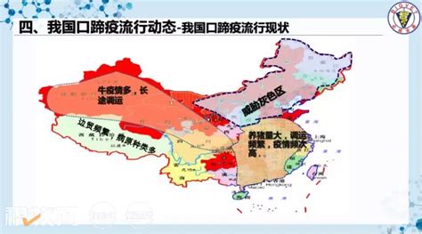 刘延麟：口蹄疫净化势在必行！必威安泰标记疫苗助力无疫区建设进程｜2022首届中国猪病净化大会 知乎