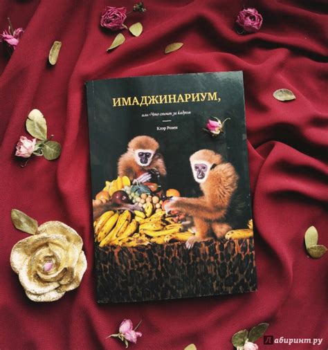 Иллюстрация 36 из 40 для Имаджинариум, или Что стоит за кадром - Клэр ...